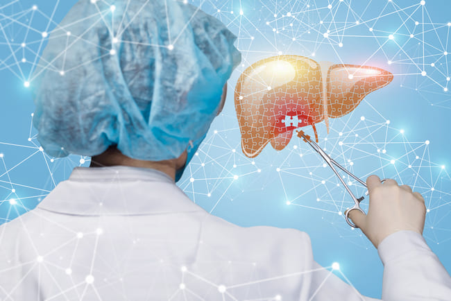Transplantace jater v Turecku : Ceny a kompletní průvodce