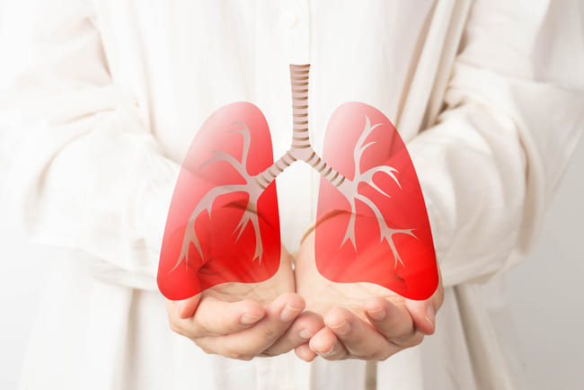 Transplantace plic v Turecku : Ceny a kompletní průvodce